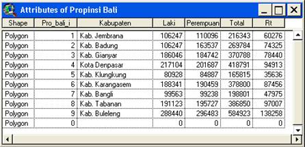 Gambar 4.20. Tampilan tabelsetelah ditambah satu record.